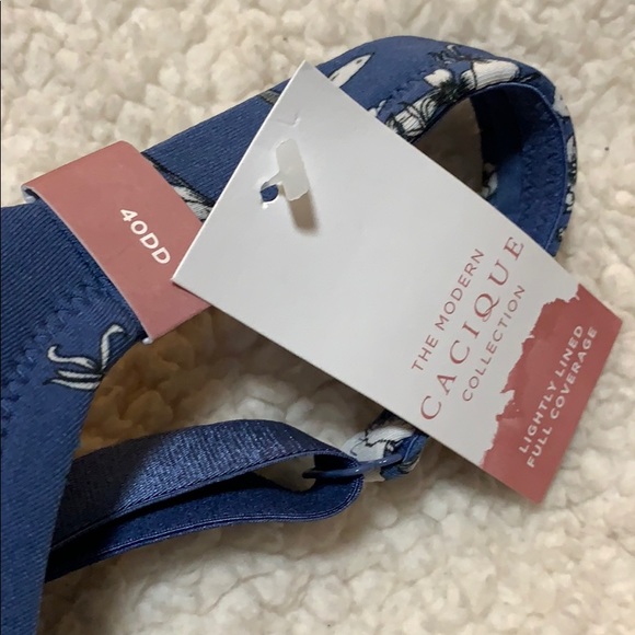 Lane Bryant | Intimates & Sleepwear | Lane Bryant Bra 4dd | Poshmark